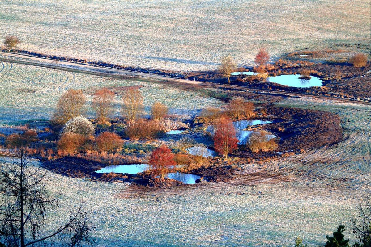 A New Refuge for Aquatic Wildlife | Photon Water